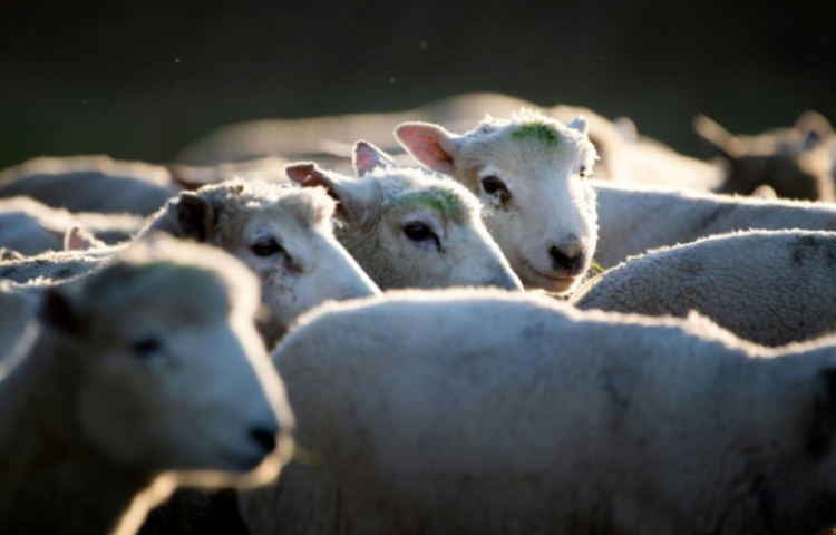 ef7b2d037000ff3d50f23c6b2db0c67c