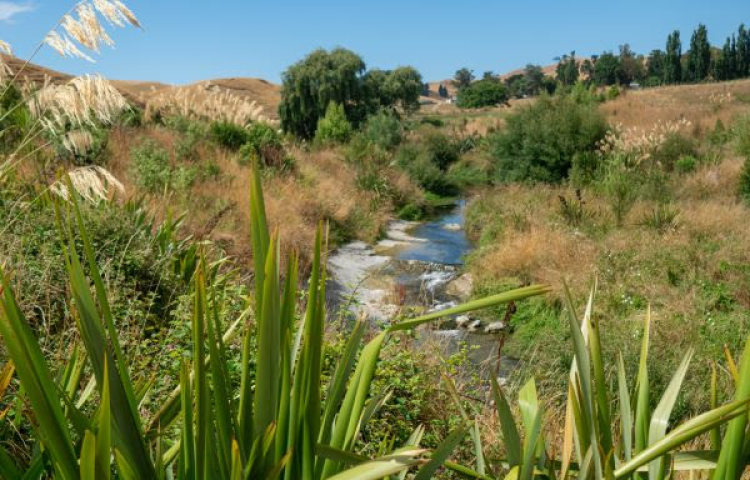 HBRC welcomes pause in Freshwater Farm Plans, while encouraging farmers ...