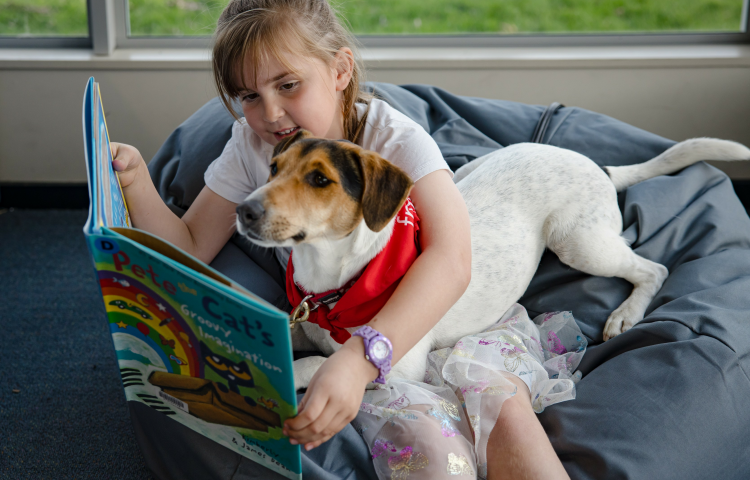 Reading going to the dogs