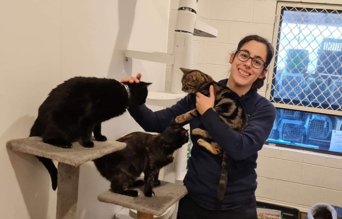 Hawkes Bay App | News - SPCA Napier to host late-night adoption event ...