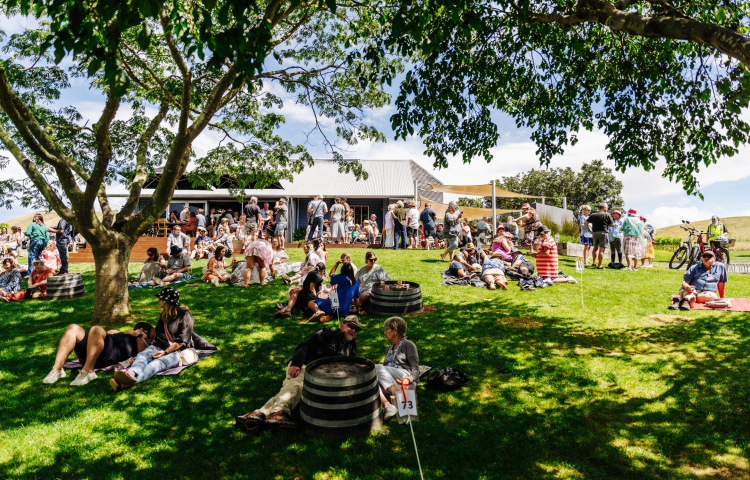 Te Awanga Estate puts vineyard and cellar door on the market to focus ...