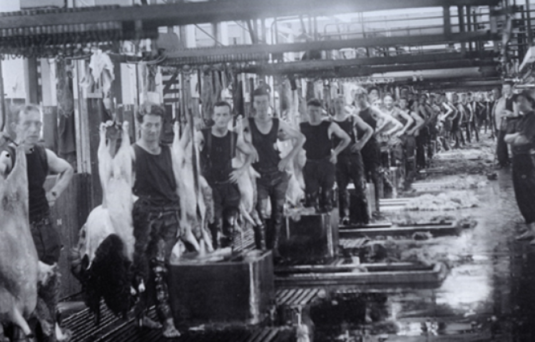 Video: Closure of Whakatu Freezing works was a bombshell, says author ...