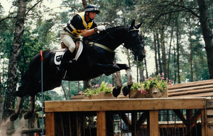 Video: Horse of the Year returns after three-year absence